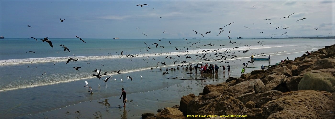 Manta, costa ecuatoriana - 1000rutas